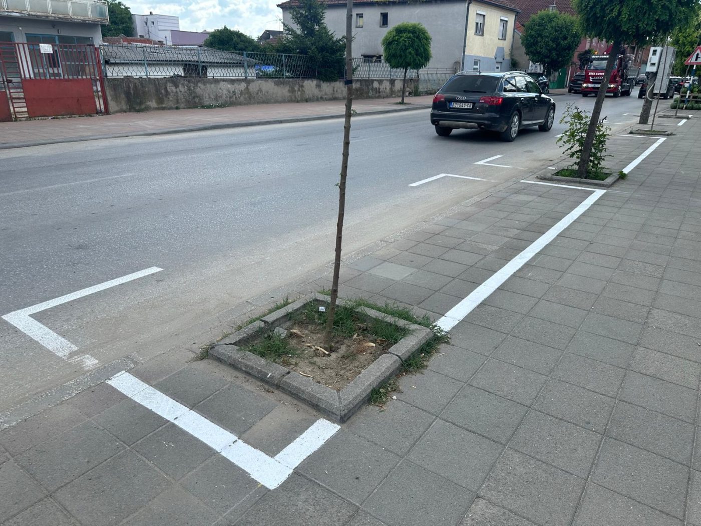 Da li je drveće platilo parking? Parking mesta u glavnoj ulici zauzele ...