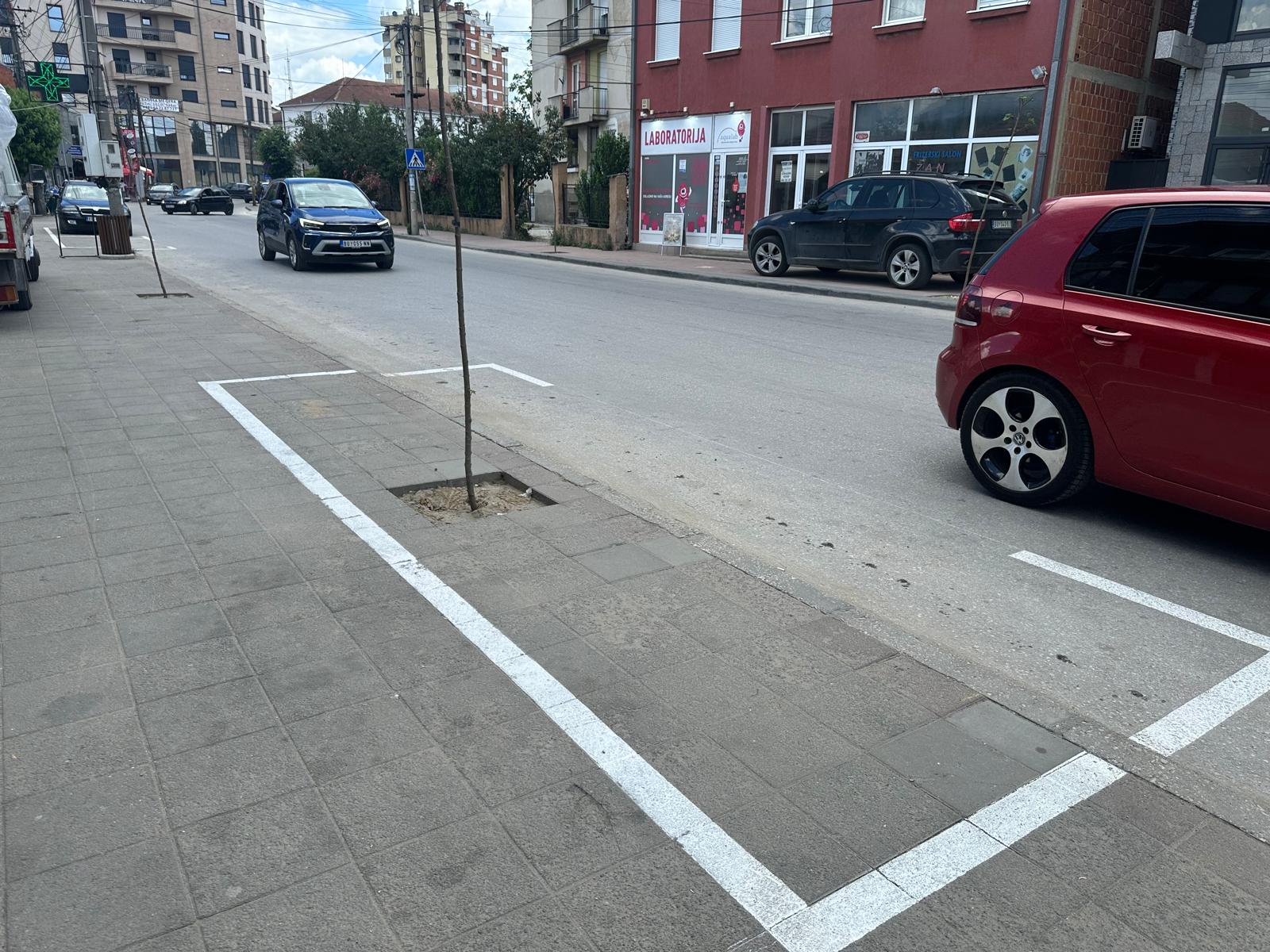 Da li je drveće platilo parking? Parking mesta u glavnoj ulici zauzele ...